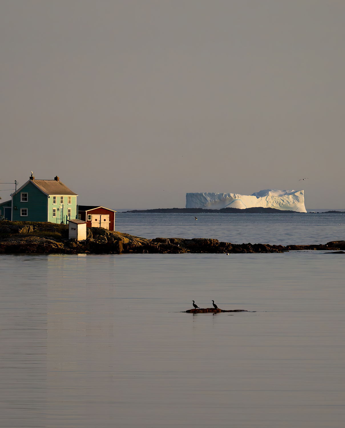 Joe Batt's Arm Browns Point | Ray Mackey | ARTfunnels