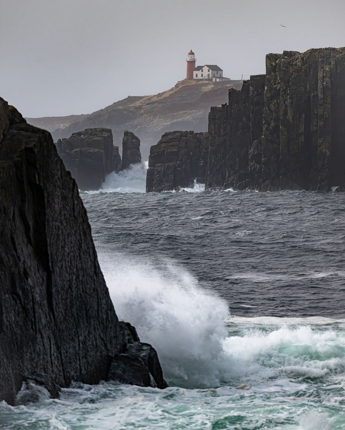 Ferryland Lighthouse View | Ray Mackey | ARTfunnels