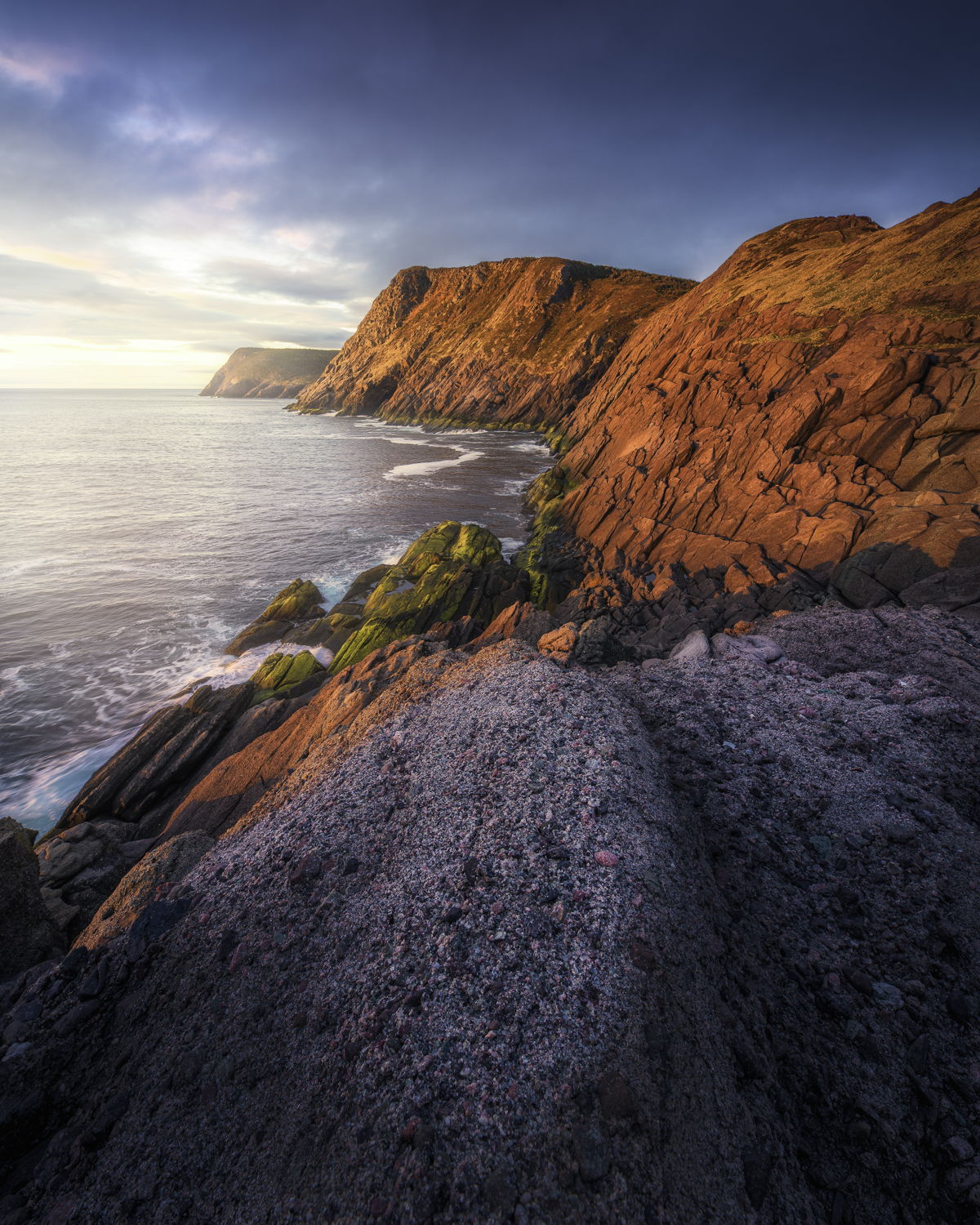 Morning Light on Torbay Point | Gord Follett | ARTfunnels
