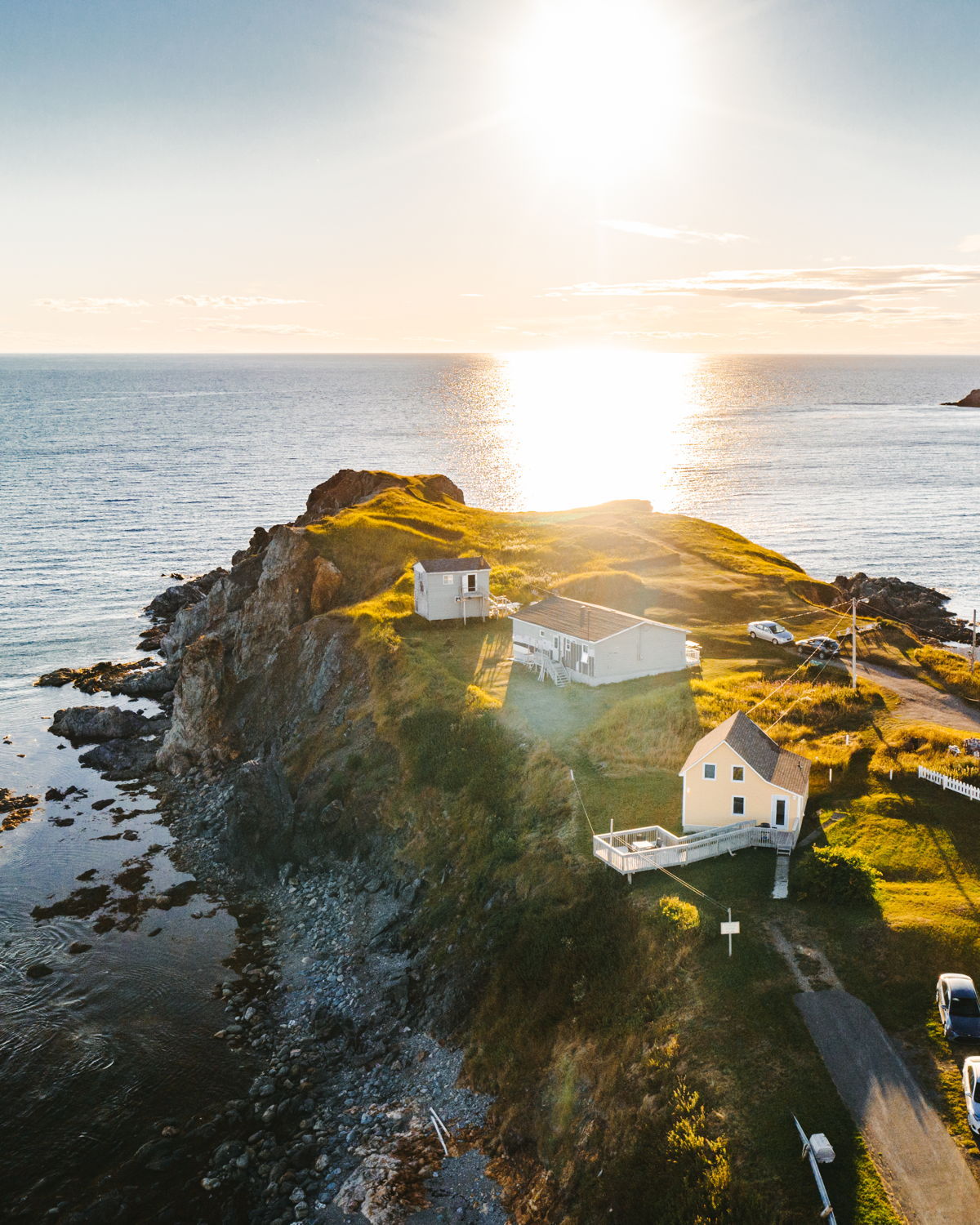Crow Head | Nathan Eddy | MARKET