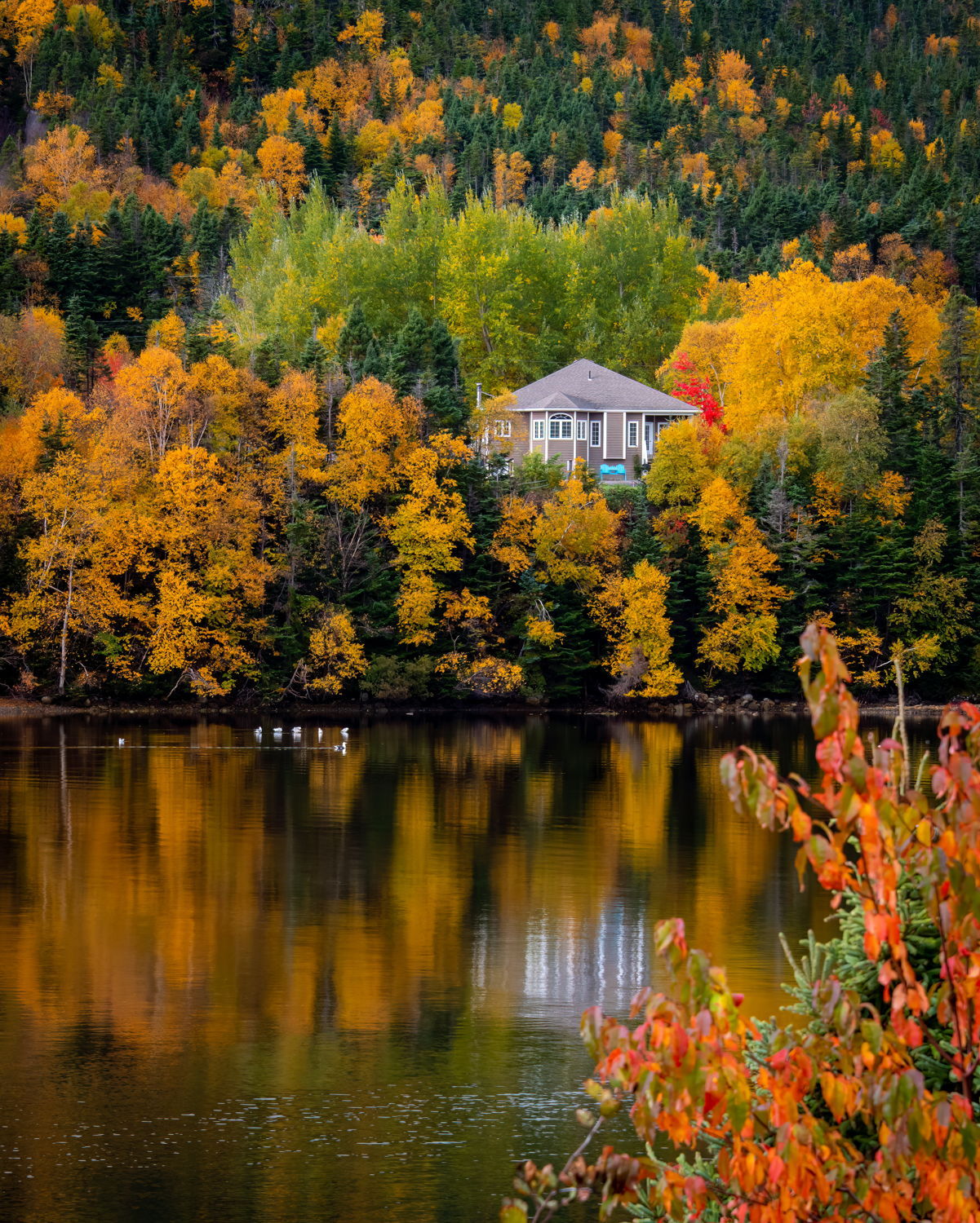 Deep Bight Autumn | Ray Mackey | ARTfunnels