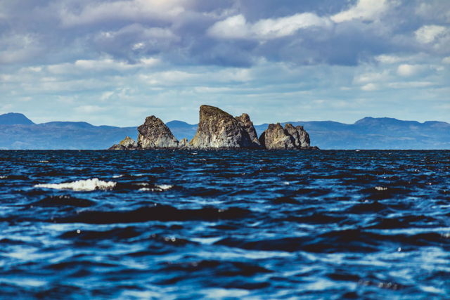 SHAG ROCK | Matt Goodyear | MARKET