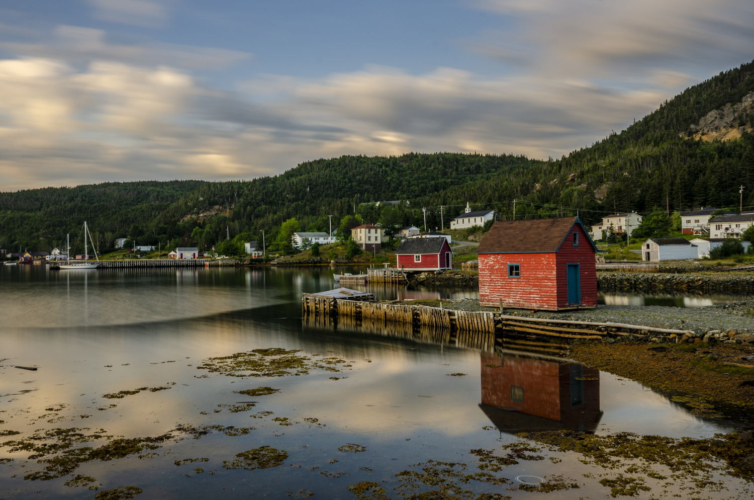 Little Bay Islands | Leona Rockwood | MARKET