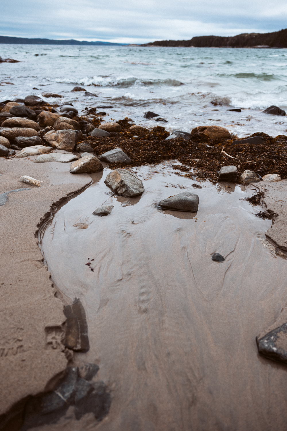 Curves | Lori Moss | ARTfunnels