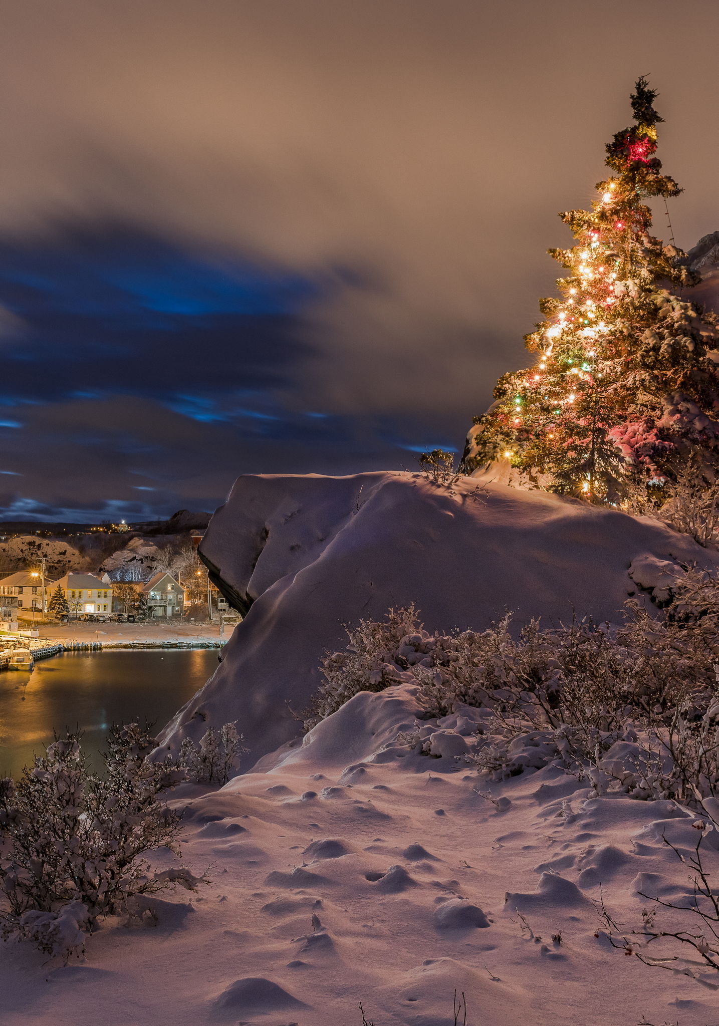 1a Quidi Vidi Wonderland v1 | Ray Mackey | ARTfunnels