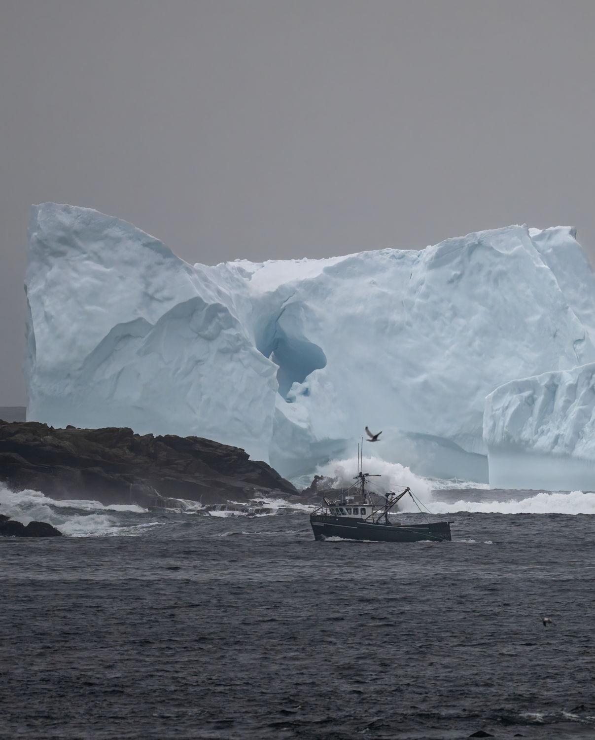 Ferryland Berg 2023 | Ray Mackey | ARTfunnels