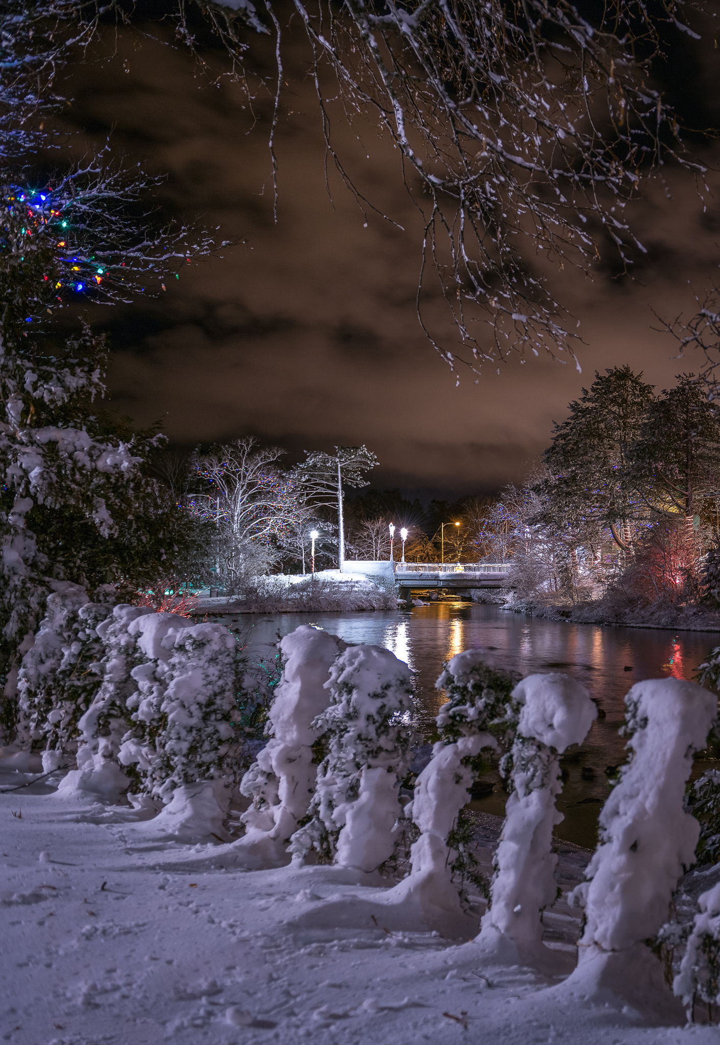 1 ba Bowring Park Wonderland | Ray Mackey | ARTfunnels