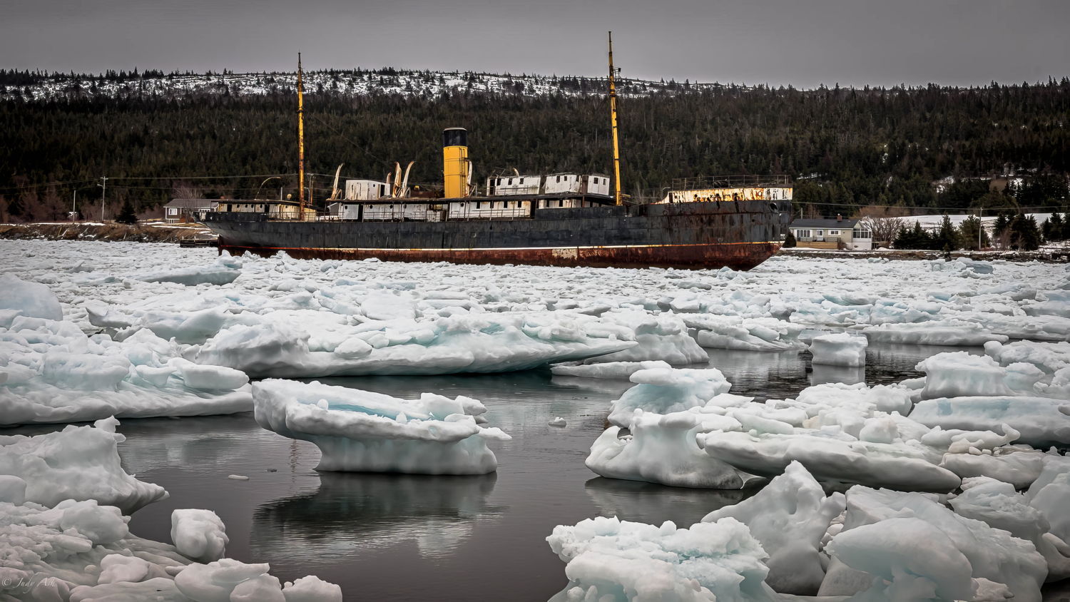 SS Kyle Frozen in Time | Judy Ash | MARKET