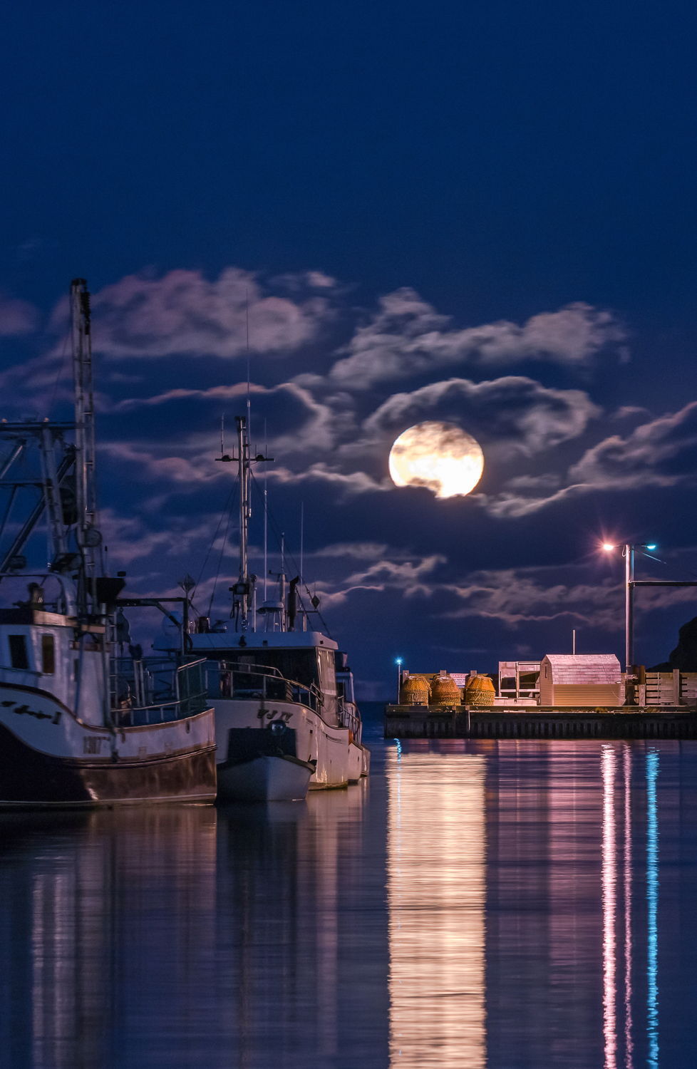 Petty Harbour Harvest Moon | Ray Mackey | MARKET