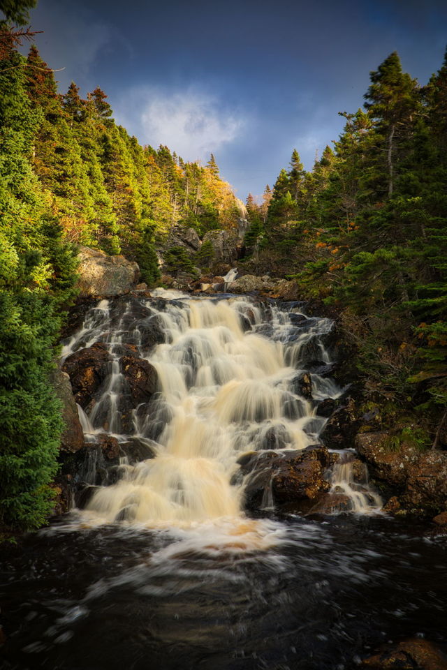 Bauline Cascade | Brian Gillett | MARKET