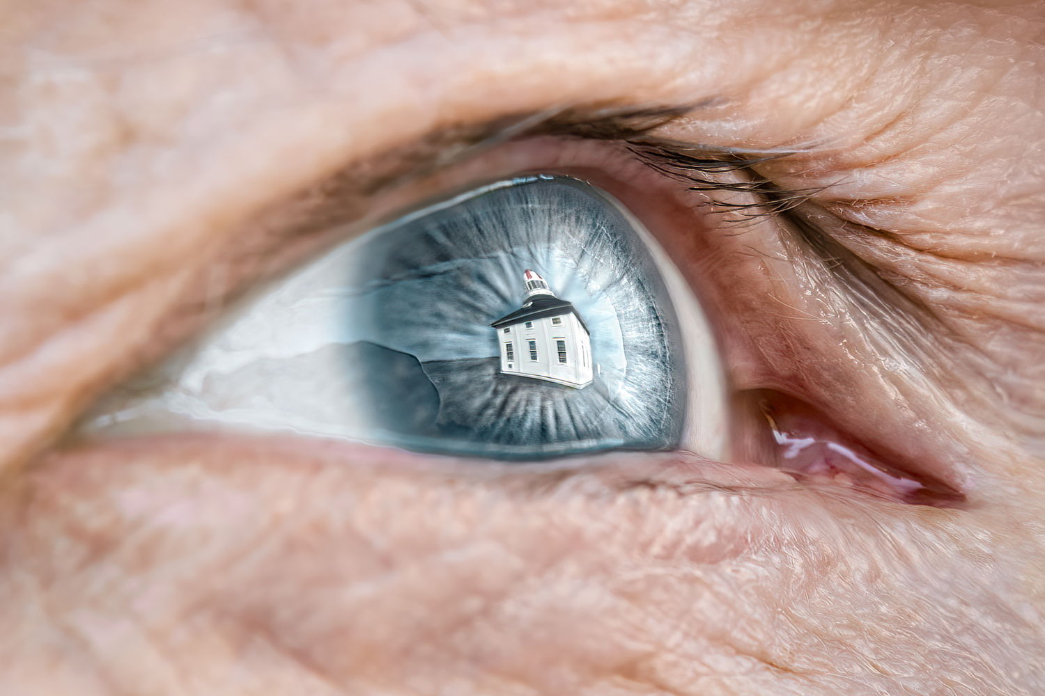 Cape Spear in the Eye | Ting Ting Chen | ARTfunnels