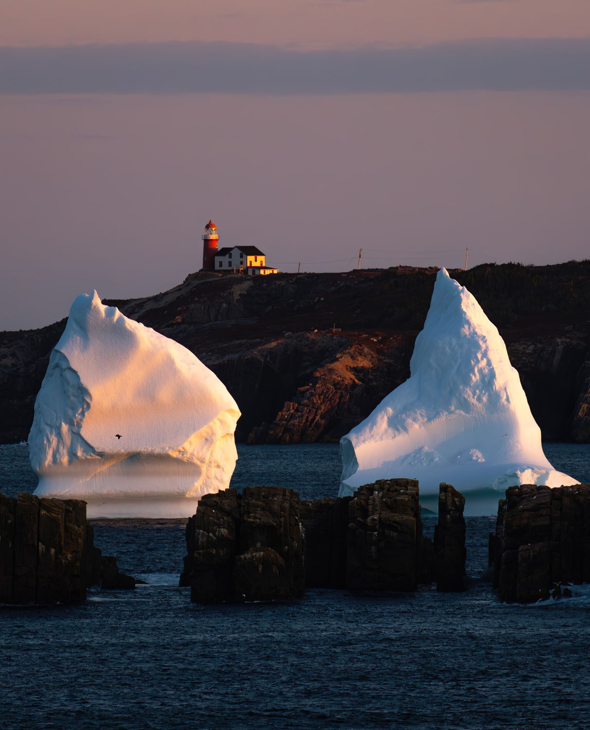 Ferryland Famous Iceberg 2023 v | Ray Mackey | ARTfunnels