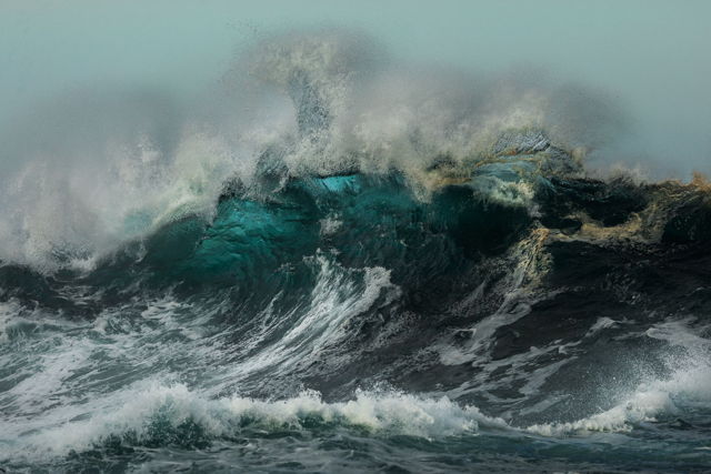 Ocean Conflict | Elizabeth Noftall | MARKET