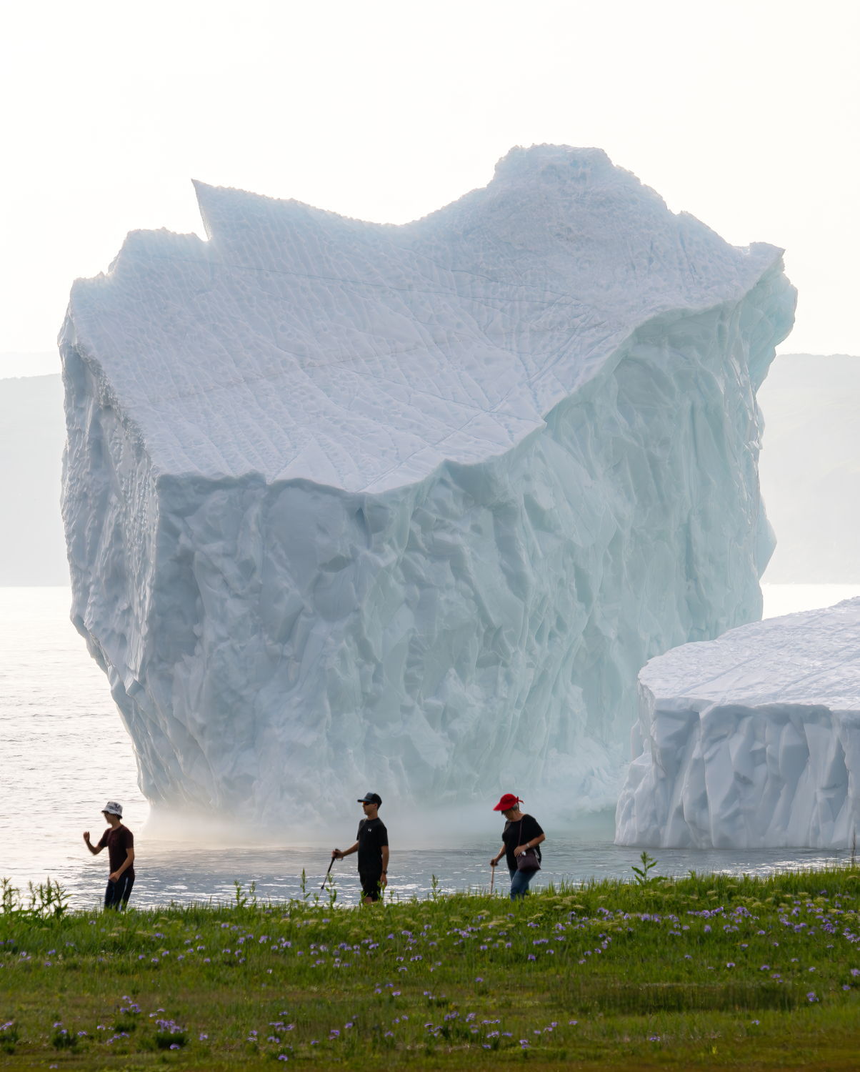 Goose Cove Summer | Ray Mackey | ARTfunnels