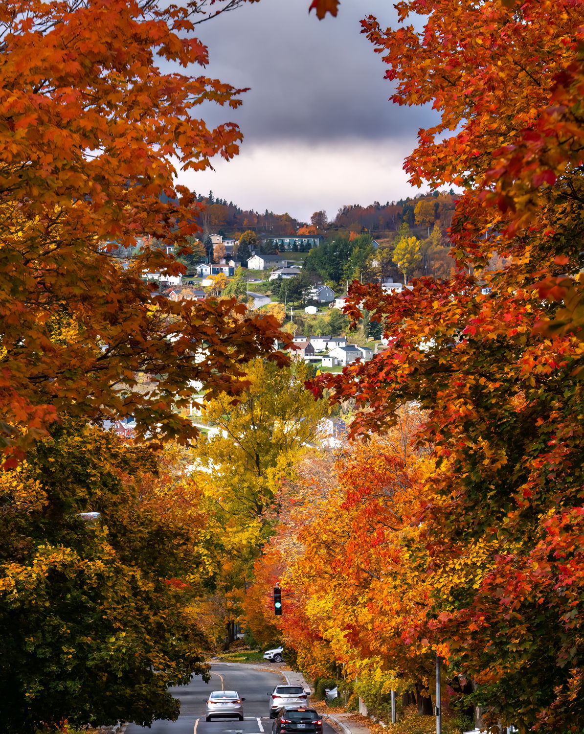 Corner Brook Color | Ray Mackey | ARTfunnels