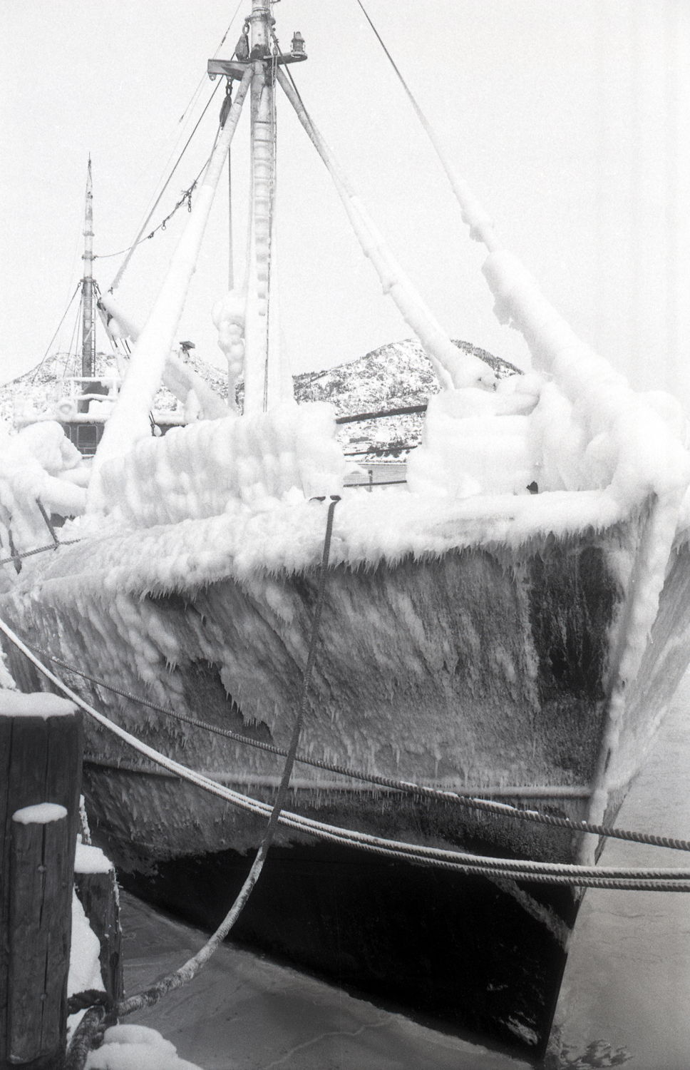 Iced Up - Burin trawler - 1960s | Allan and Robert Stoodley | MARKET