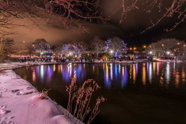bowring park | Search | MARKET