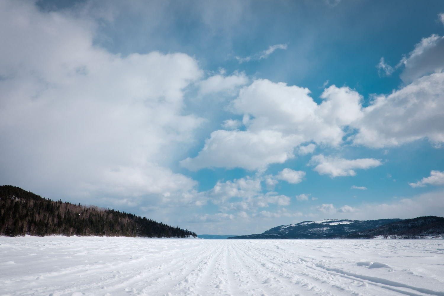 Pollard's Point Frozen Harbour | AJ Smith | MARKET