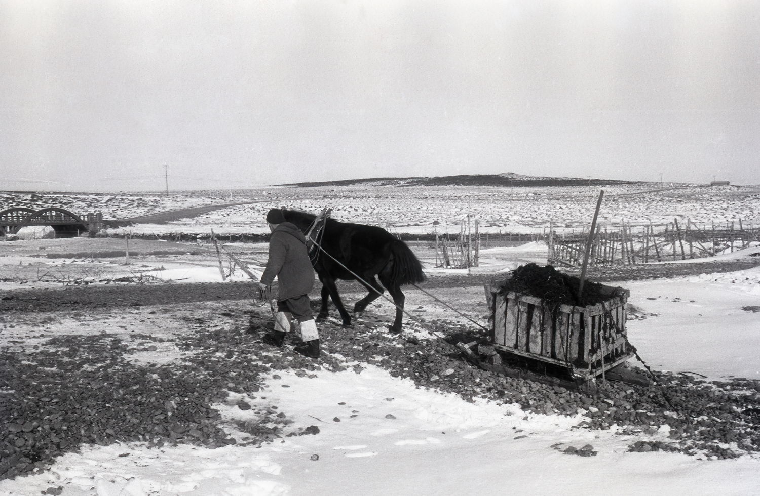 Fred King of Lamaline with his 'Kelp Slide' Fully Loaded - 1970s ...