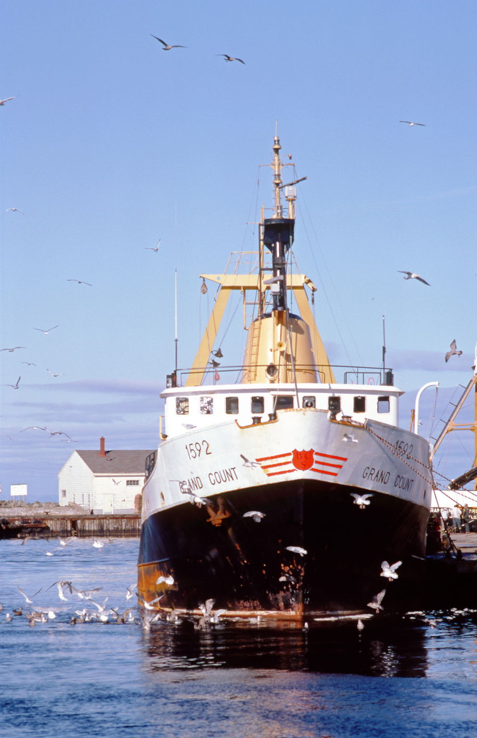 Grand Count In Port - 1970 | Allan and Robert Stoodley | MARKET