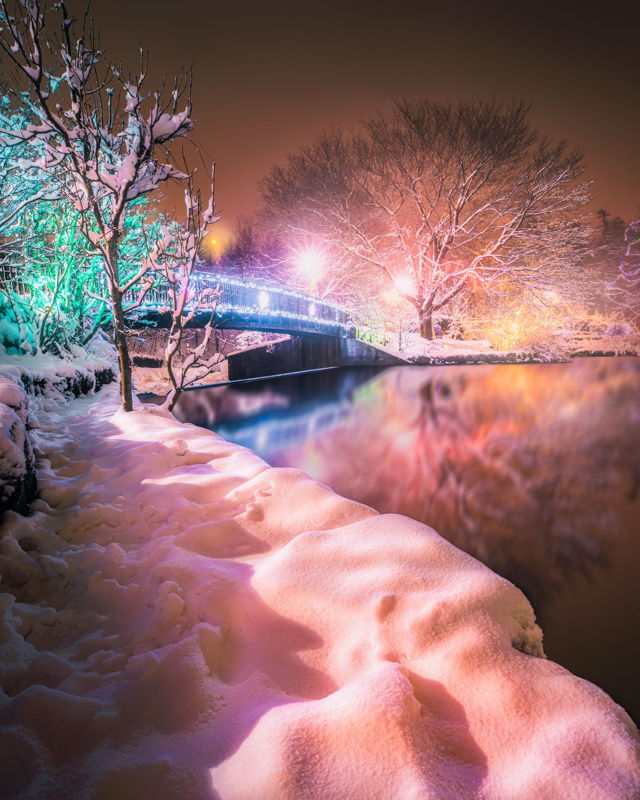 Christmas Lights Bowring Park | Gord Follett | ARTfunnels