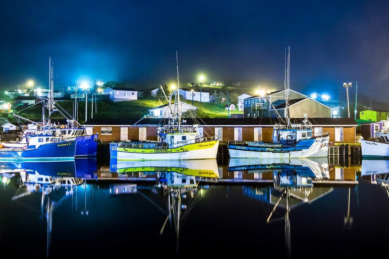 Branch Longliners | Michael Winsor | ARTfunnels