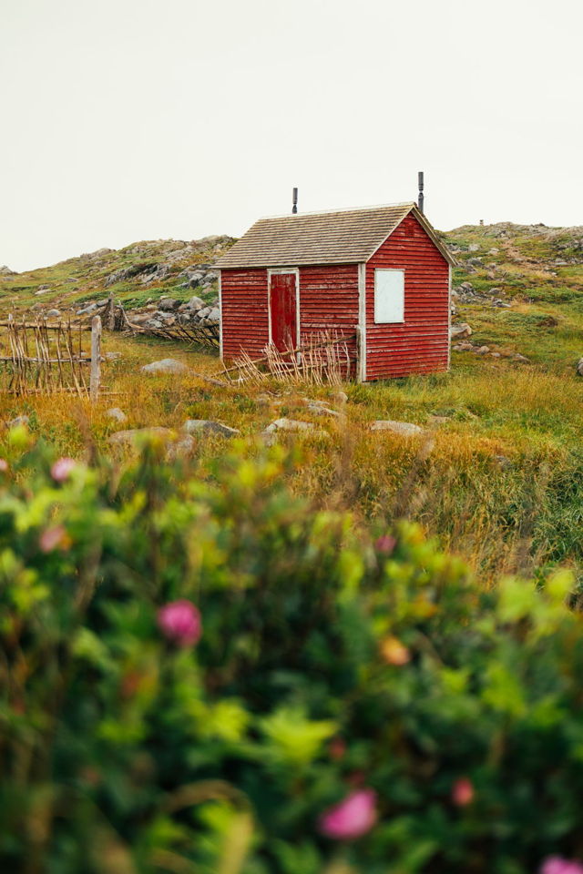 The Lighthouse Shed | Amanda Peyton | MARKET