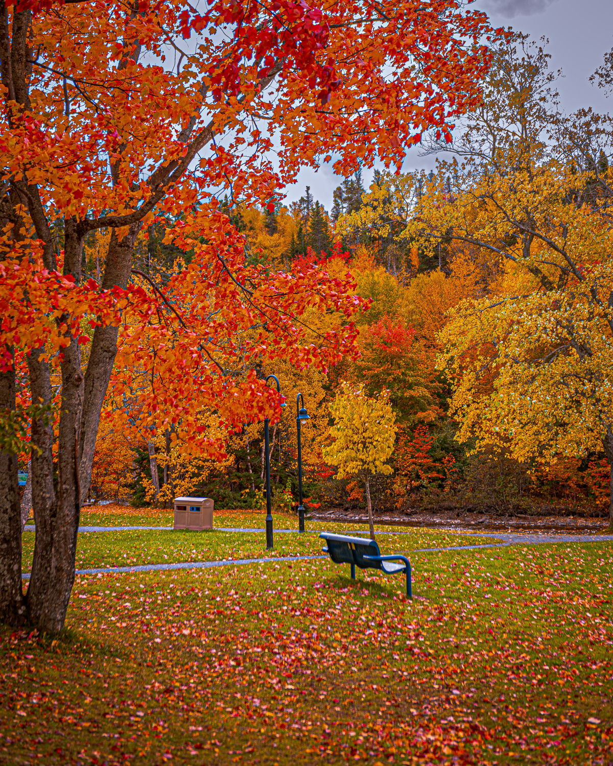 An Autumn Escape Where every bench invites you to pause and soak in the ...